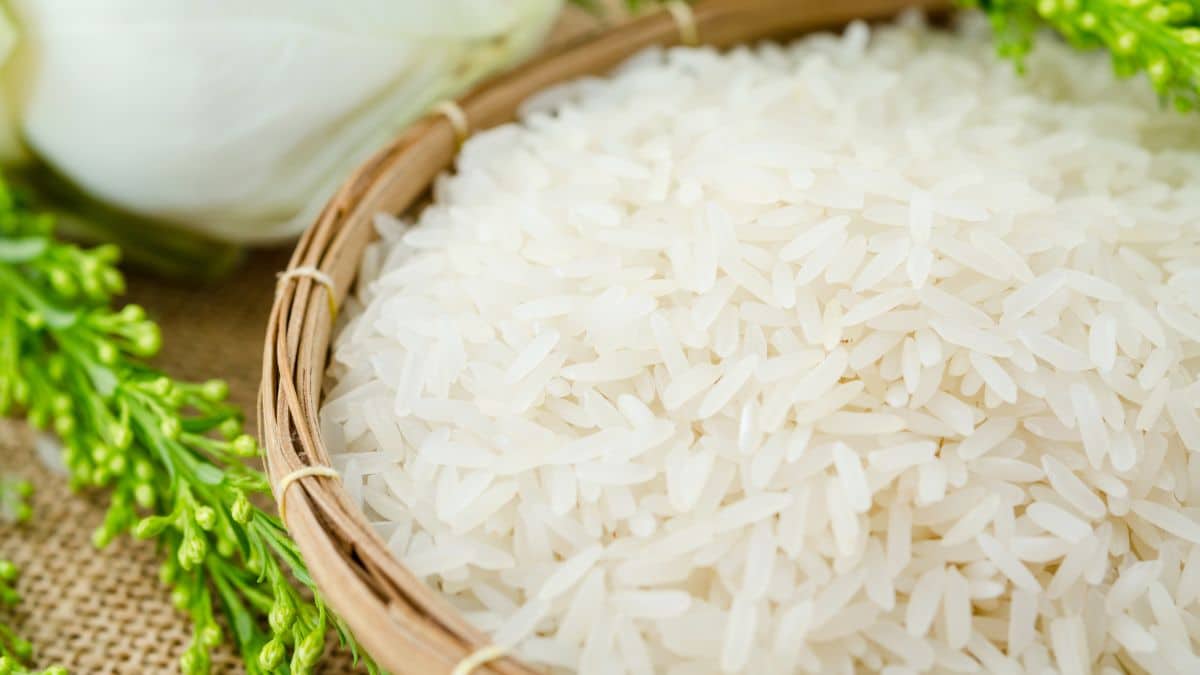 Toucher ces 8 aides de l’État sans aucune condition de revenus